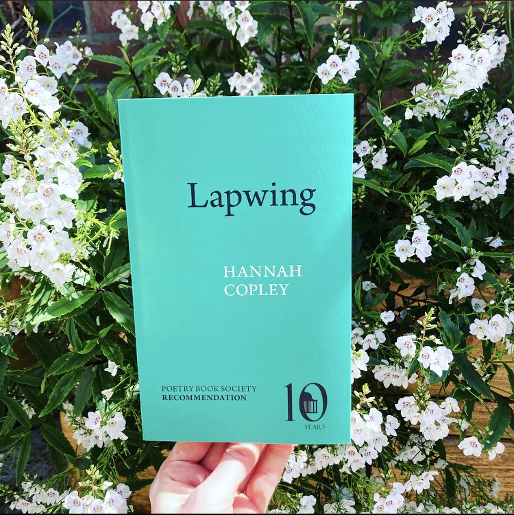 LAPWING - The Poetry Book Society