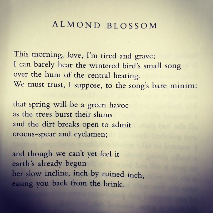 POEM A DAY: ALMOND BLOSSOM - The Poetry Book Society