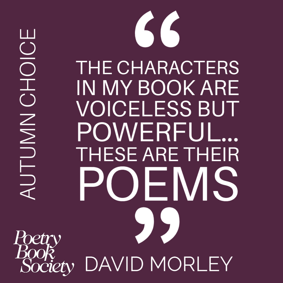 PBS AUTUMN CHOICE: DAVID MORLEY - The Poetry Book Society