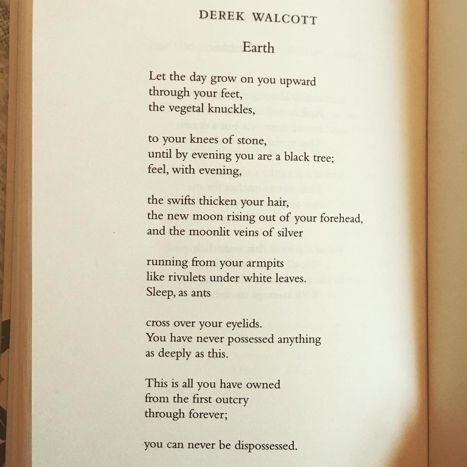 POEM A DAY: DEREK WALCOTT - The Poetry Book Society