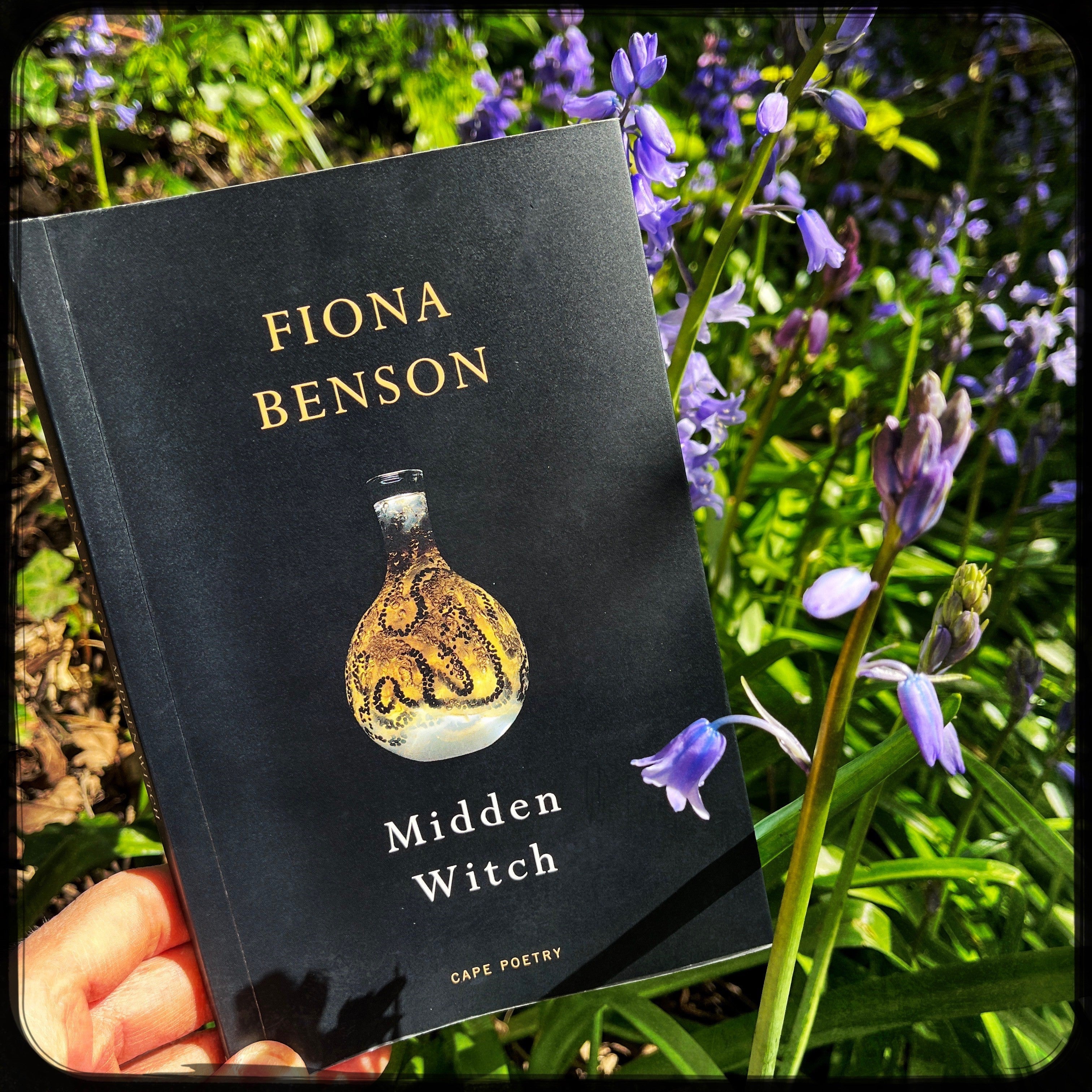 BOOK OF THE WEEK: MIDDEN WITCH - The Poetry Book Society