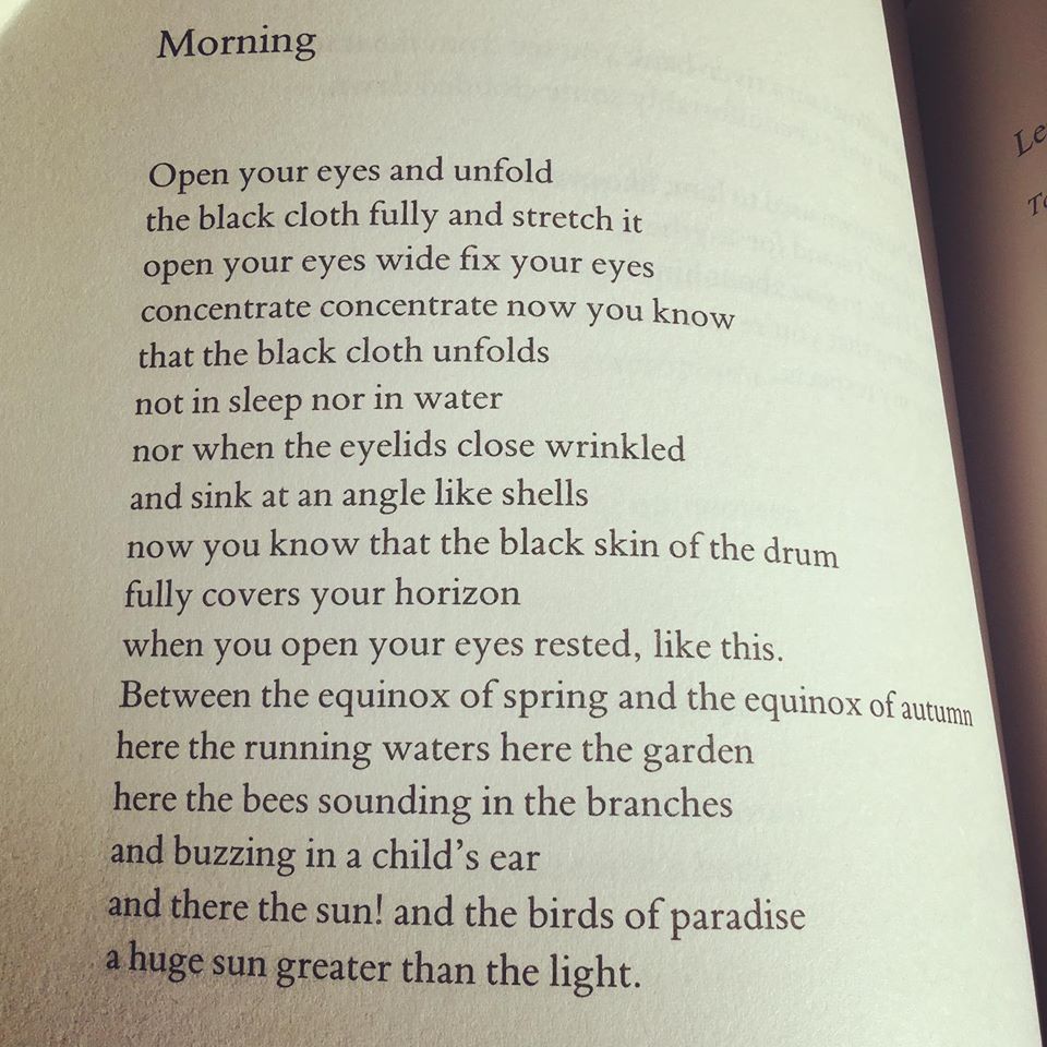 POEM A DAY: MORNING - The Poetry Book Society