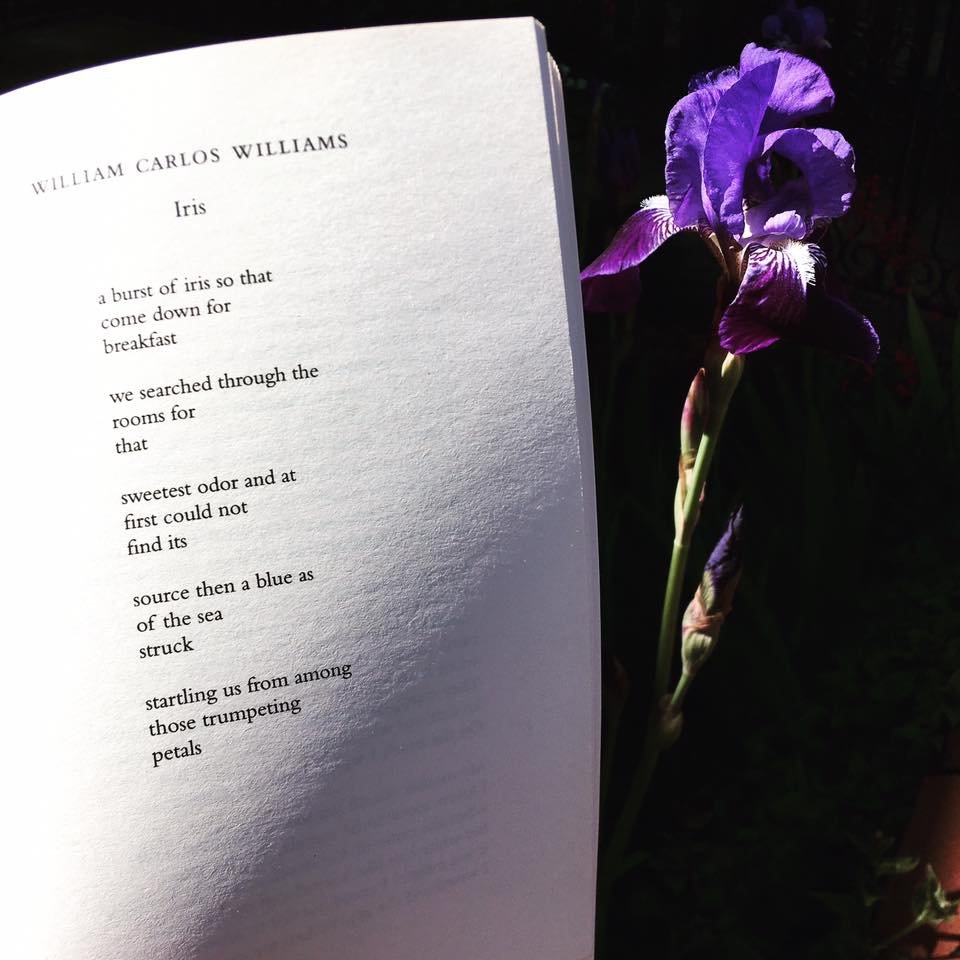 POEM A DAY: WILLIAM CARLOS WILLIAMS - The Poetry Book Society