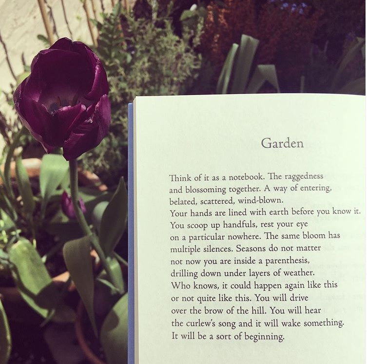 POEM A DAY: GARDEN - The Poetry Book Society