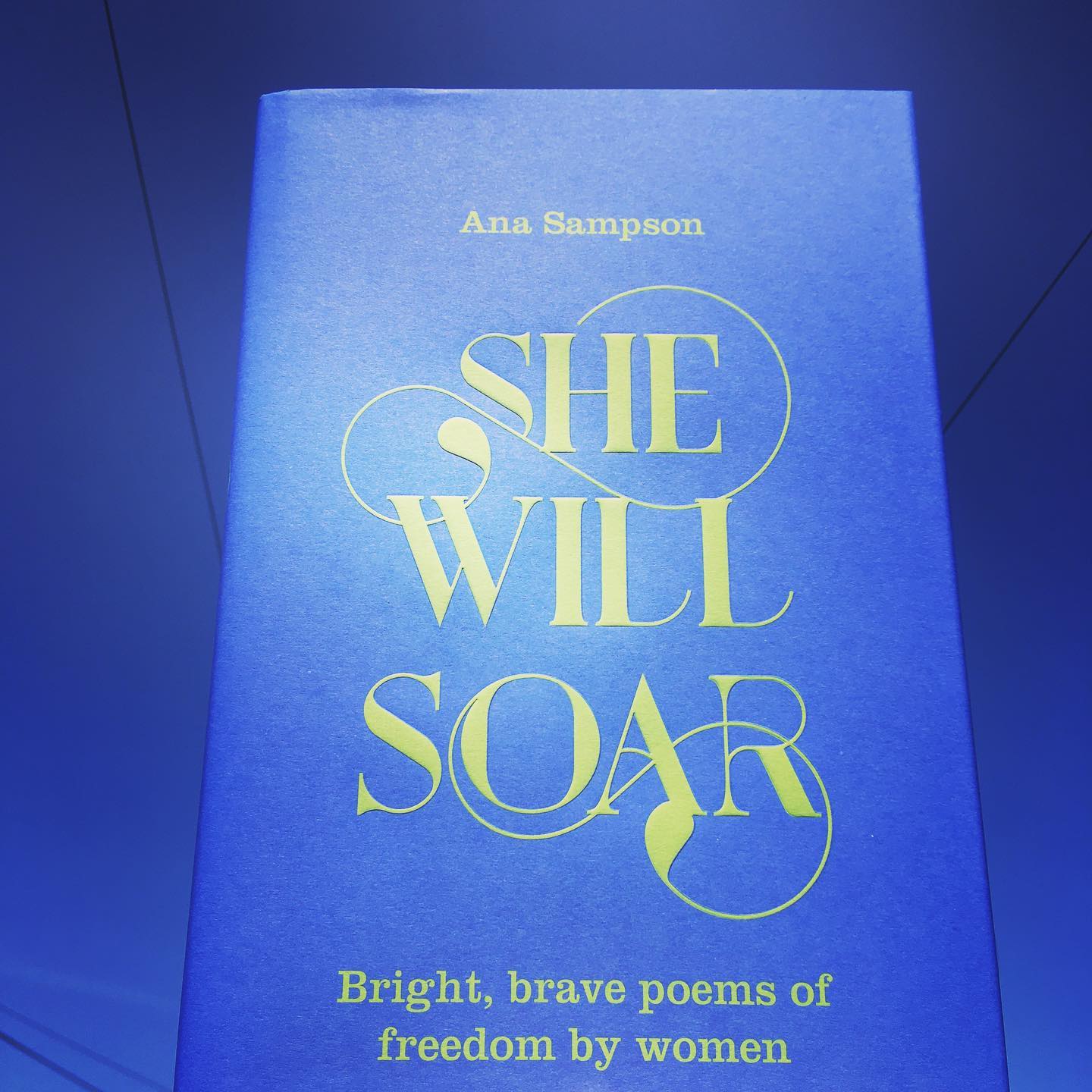 SHE WILL SOAR - The Poetry Book Society
