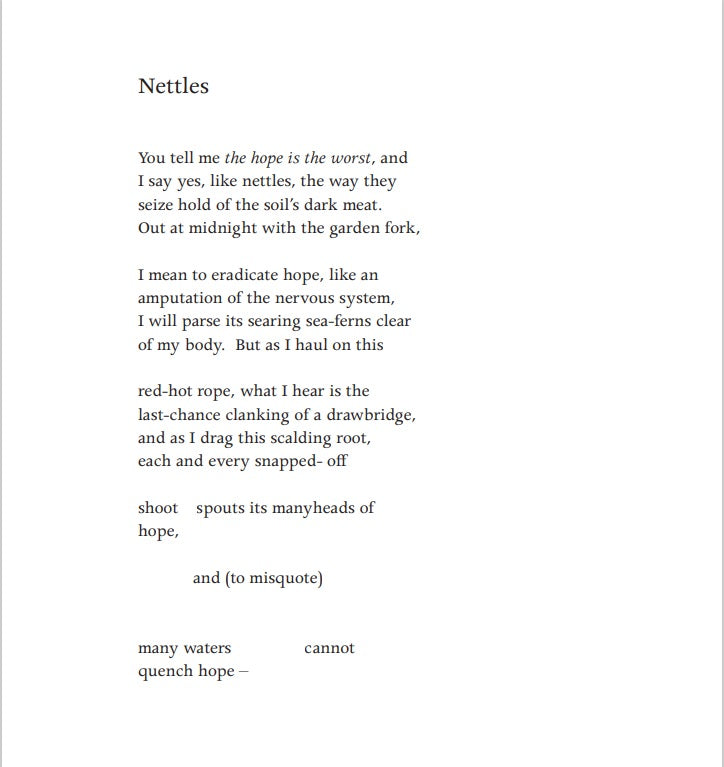 POEM OF THE WEEK: NETTLES - The Poetry Book Society