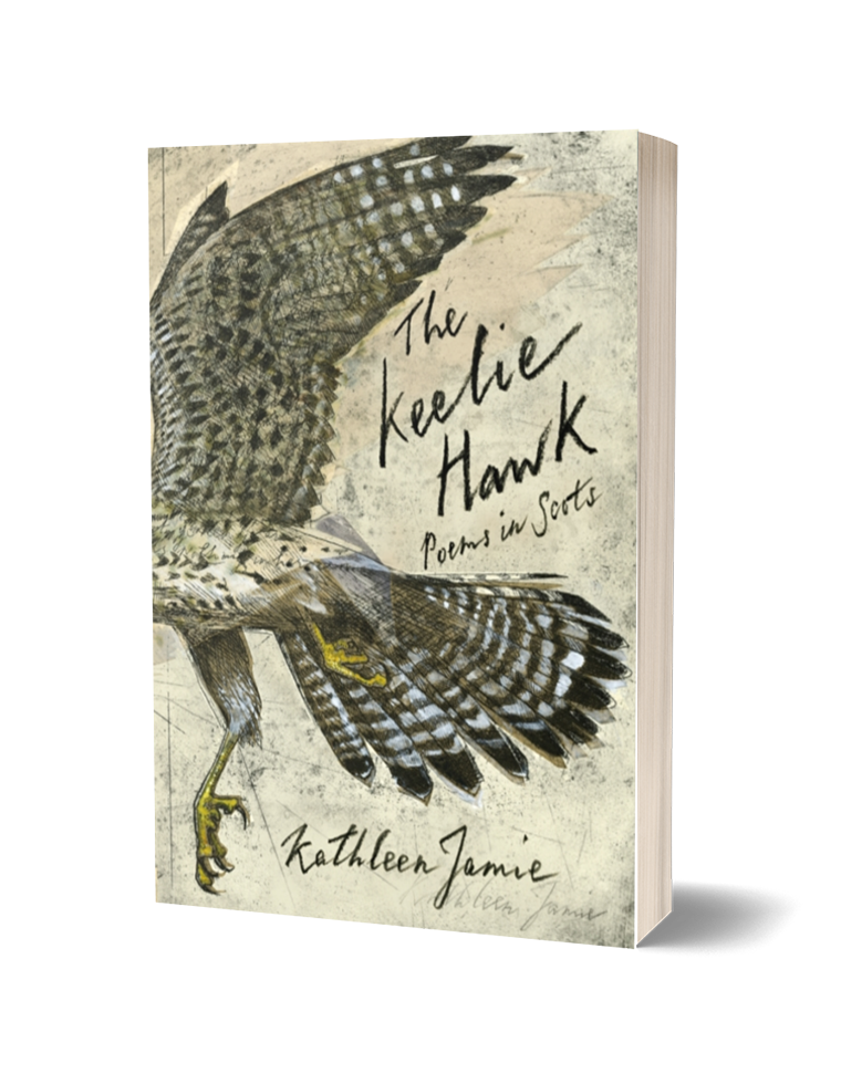 The Keelie Hawk by Kathleen JamiePoetry Book Society Recommendation Au ...