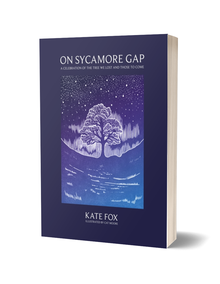 On Sycamore Gap by Kate Fox PRE-ORDER - The Poetry Book Society