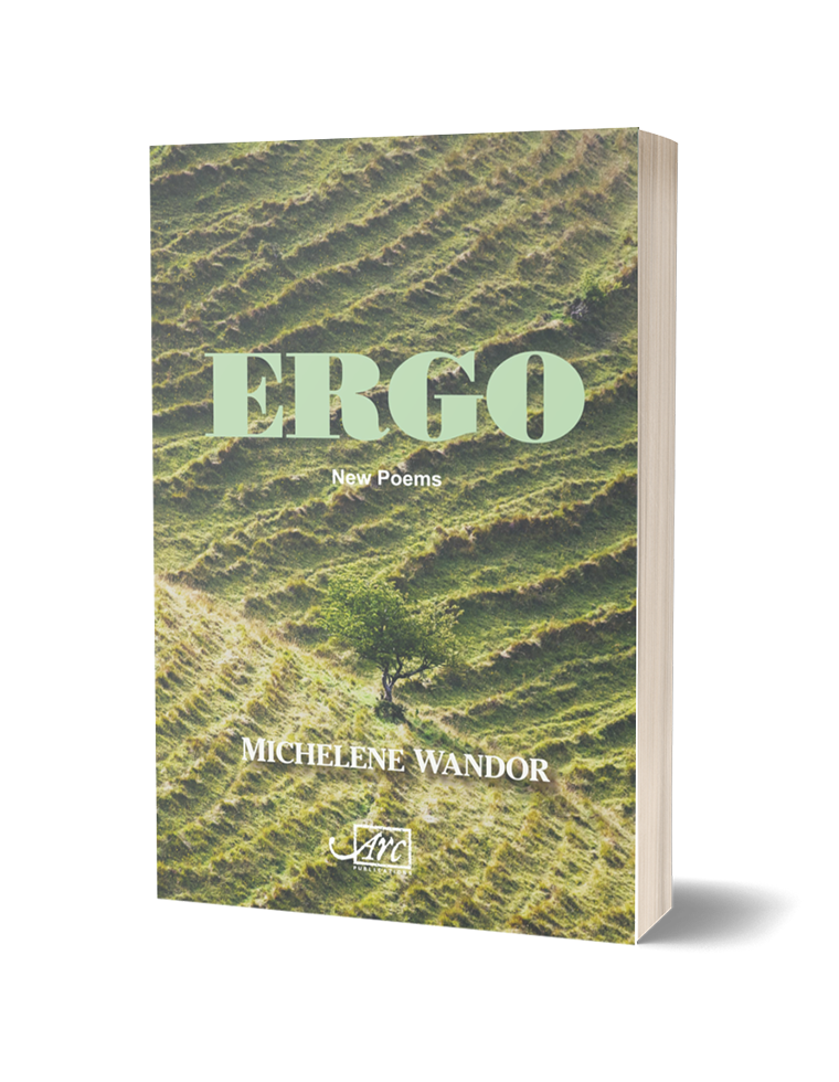 Ergo by Michelene Wandor - The Poetry Book Society