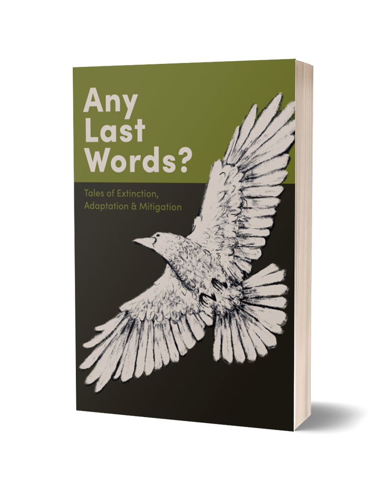 Any Last Words? ed. by Connor Enright - The Poetry Book Society