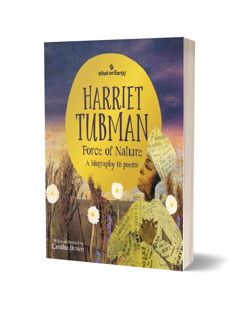 Harriet Tubman, Force of Nature by Caroline Brewer - The Poetry Book ...
