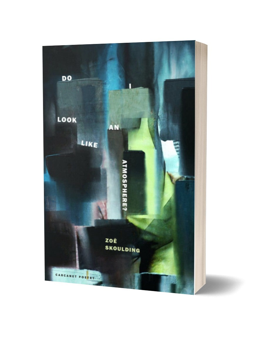 Do I Look Like an Atmosphere by Zoë Skoulding - The Poetry Book Society