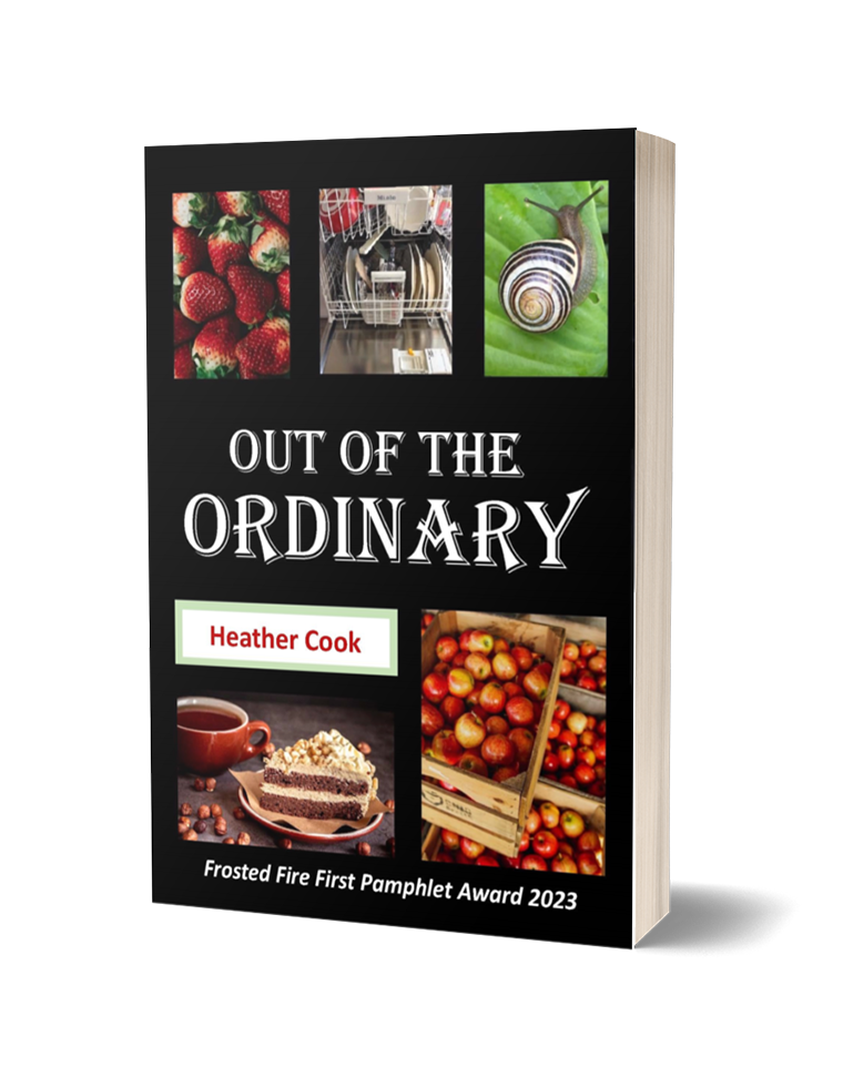 Out of the Ordinary by Heather Cook - The Poetry Book Society