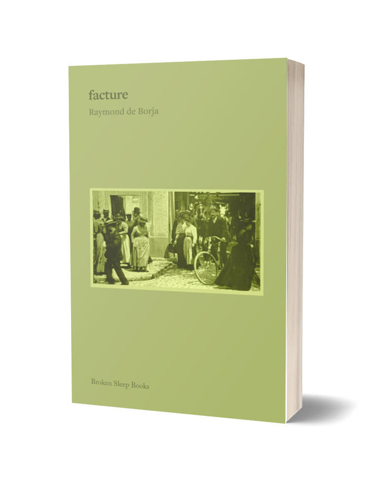 Facture by Raymond de Borja - The Poetry Book Society