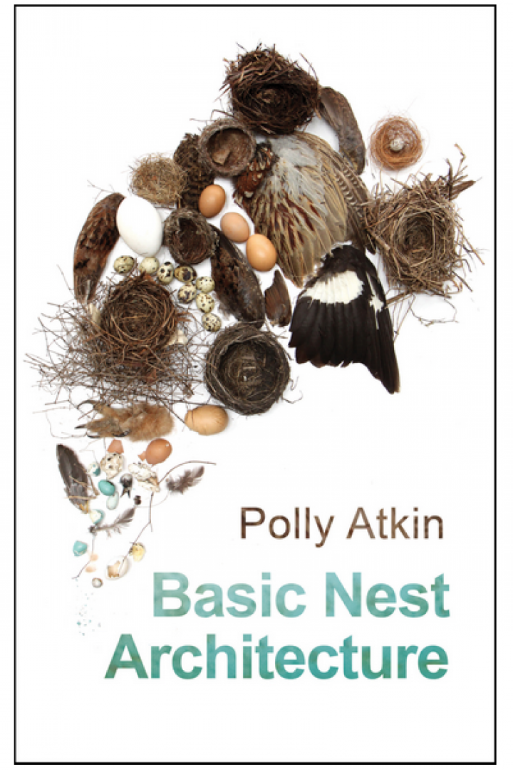 Basic Nest Architecture by Polly Atkin - The Poetry Book Society